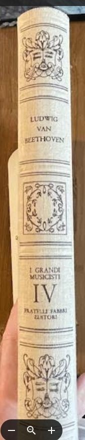 NL* FABBRI EDITORE I GRANDI MUSICISTI Volume IV LUDWIG VAN BEETHOVEN ...